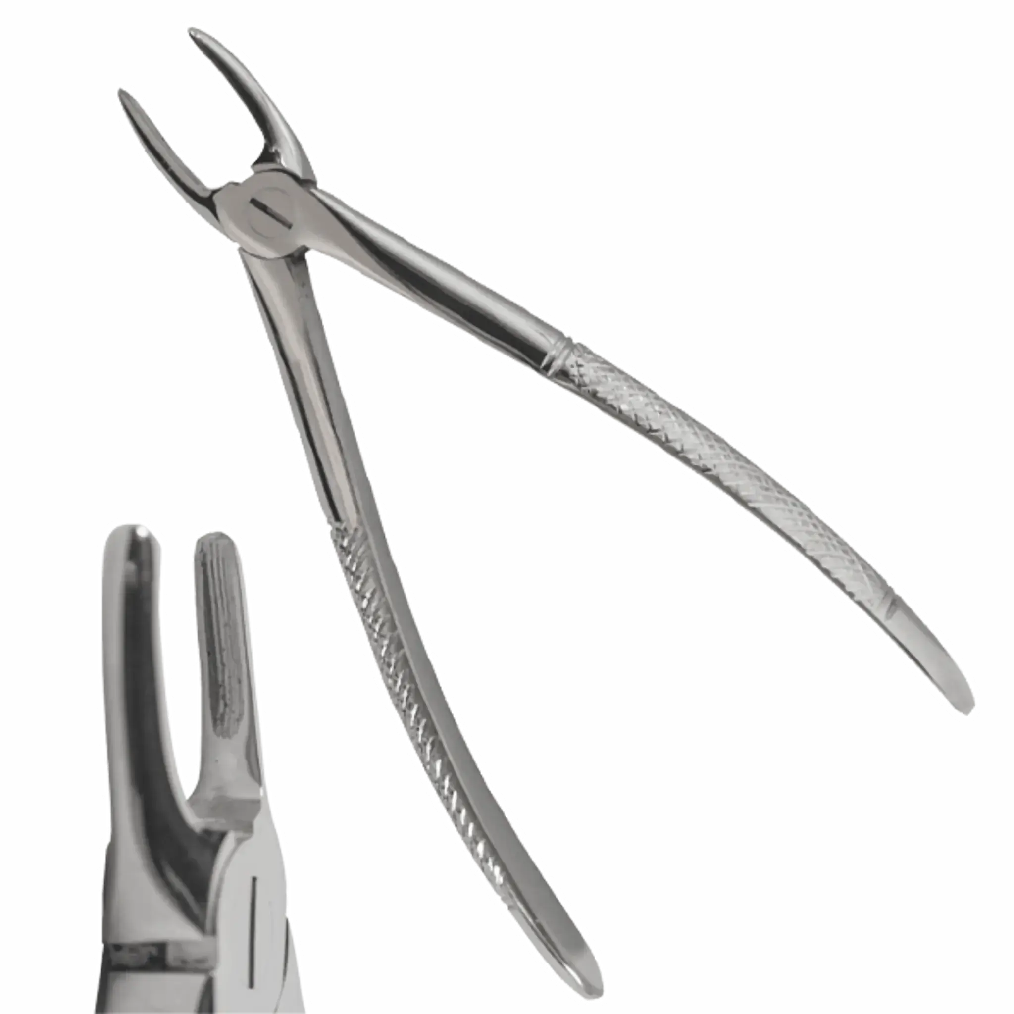 Forcep Recto – Instrumental Dental | IndusLab – Induslab